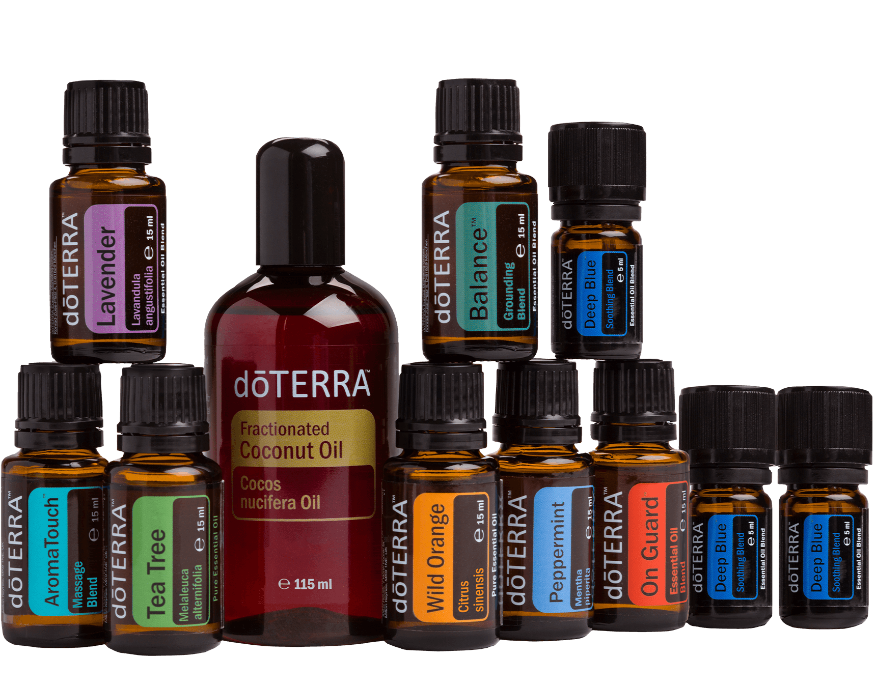 doTERRA AromaTouch Professional Kit - 11-teilig