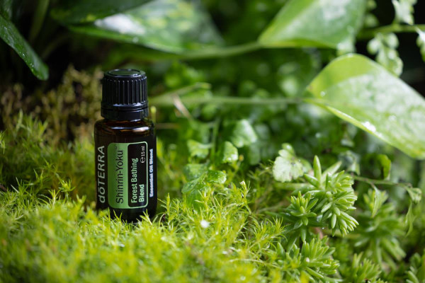 doTERRA Shinrin-Yoku™ (Waldbaden-Mischung) 15ml